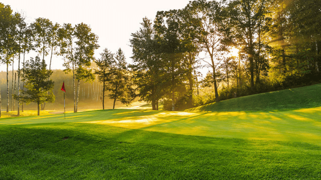 The Best Golf Schools in the World - Bird Golf Academy