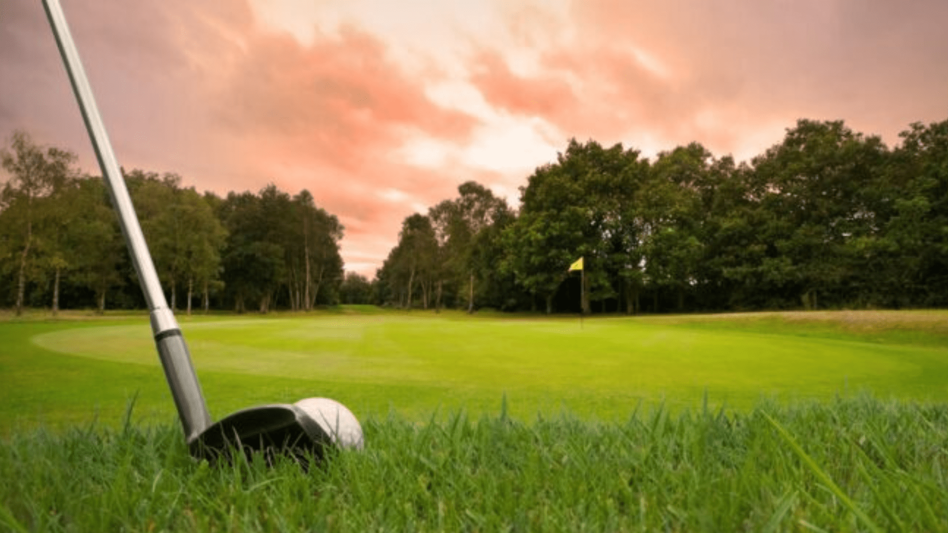 Pennsylvania Golf School, Bear Club, Shawnee Inn - Bird Golf
